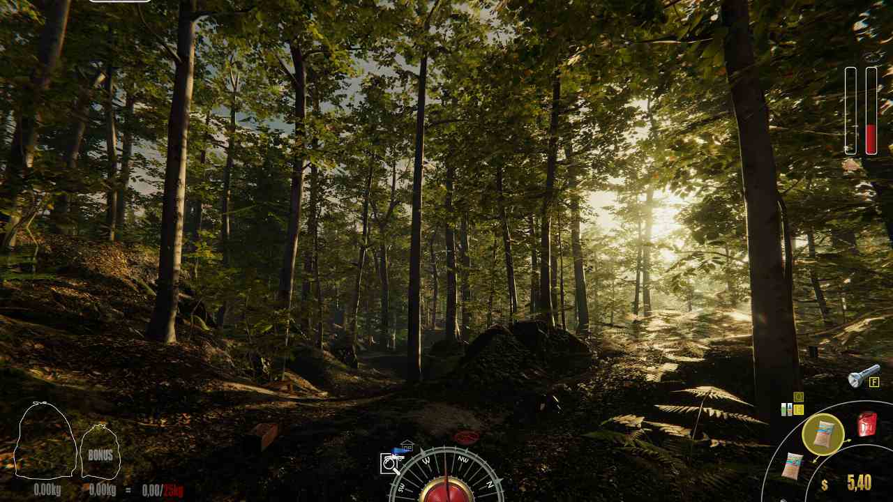 Forest Ranger Simulator — системные требования, дата выхода, описание игры