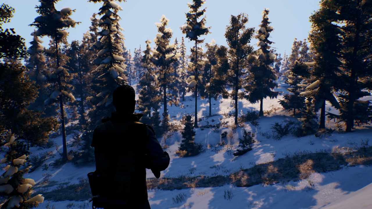 Open Country для PS4 — дата выхода, описание игры, ее рейтинг.