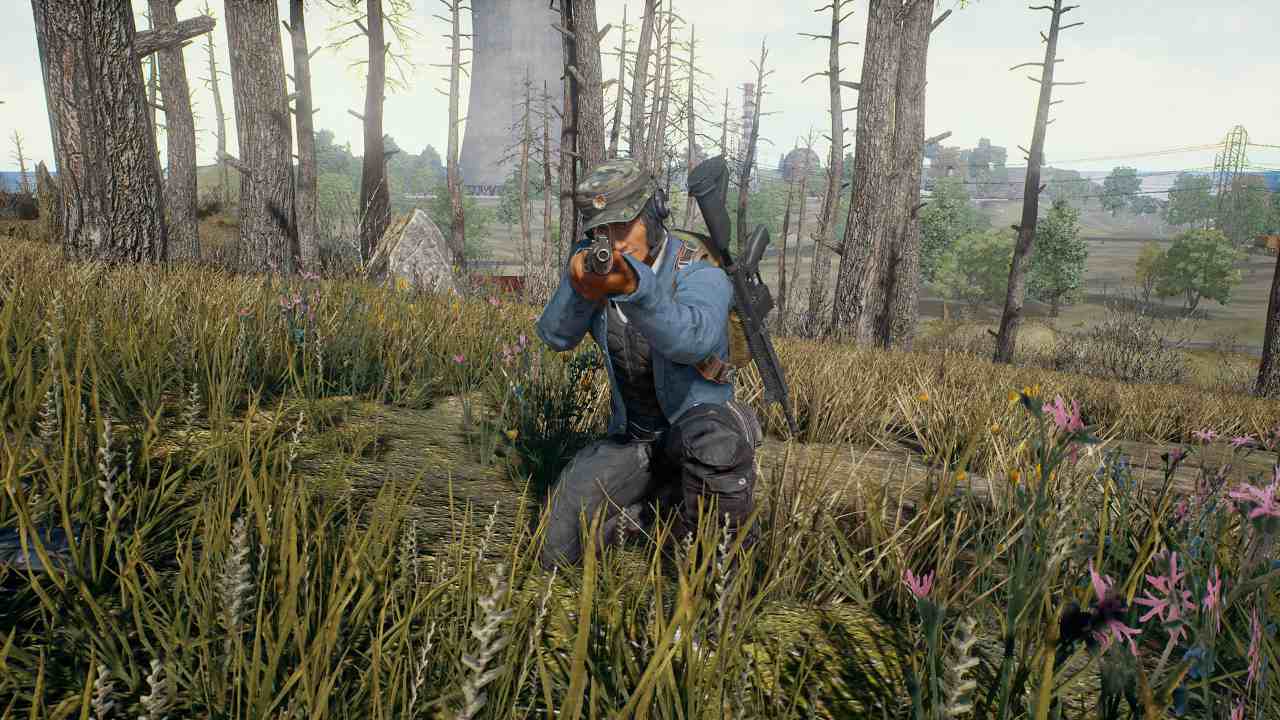 PUBG - PlayerUnknown’s Battlegrounds: системные требования, дата выхода ...
