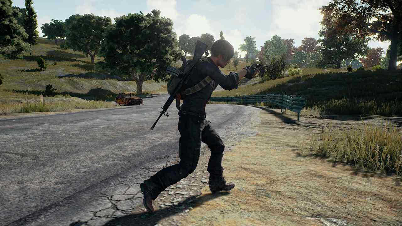 PUBG - PlayerUnknown’s Battlegrounds: системные требования, дата выхода ...